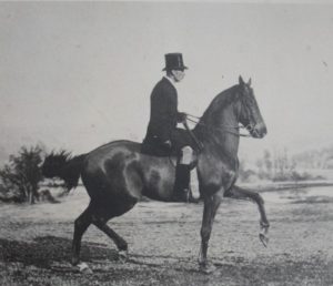 Tenir ses rênes "à la française" - Tacante